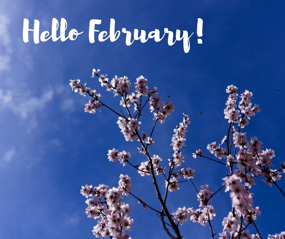 Hello February! Nourish The Guide Newsletter